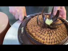 Magic Temper Alpha | Temperadora